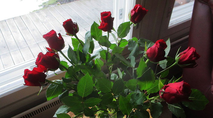 IMG_17273 (700x387, 80Kb)